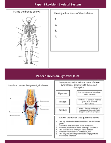 OCR GCSE PE Paper 1 Complete Low Stakes Revision | Teaching Resources