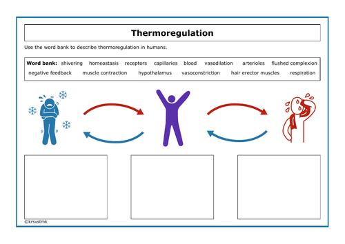 Secondary Biology Resources: Biology Lessons for KS3, KS4, GCSE | Tes