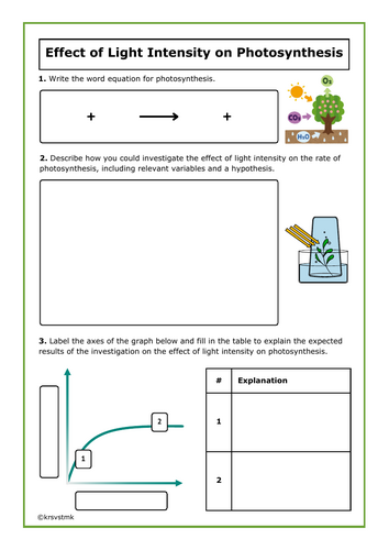 Effect of Light Intensity on Photosynthesis + Model Answers Included ...