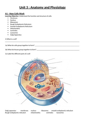 HSC Unit 3 A1 + A2 Work Booklet | Teaching Resources