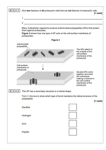 AQA A Level Biology Cell Structure and Function Question Paper + Mark ...