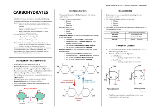 Carbohydrates Summary Sheet (AQA A-Level Biology) | Teaching Resources Carbohydrates Summary Sheet (AQA A-Level Biology) | Teaching Resources
