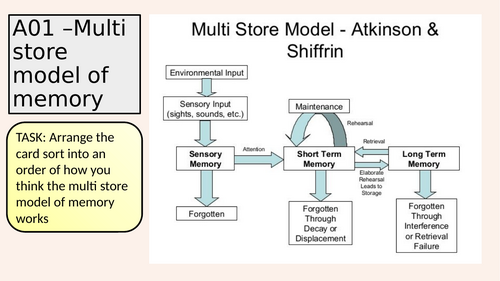 Edexcel GCSE 9 - 1 Psychology - Memory - Atkinson and Shiffrin Multi ...