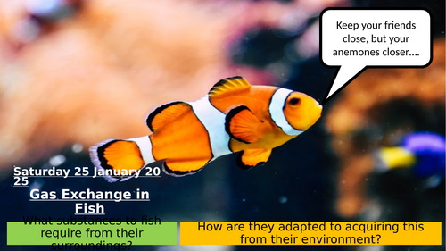 6.3 Gas Exchange in Fish | Teaching Resources