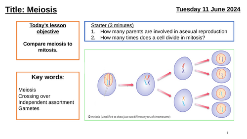 Aqa Gcse Biology Lesson 7 Meiosis Inheritance Variation And Evolution Topic Teaching