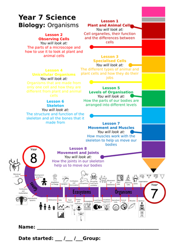 KS3 Year 7 Lesson resources and booklet for cells topic | Teaching Resources