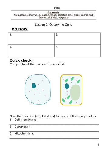KS3 Year 7 - Lesson 2. Observing cells | Teaching Resources