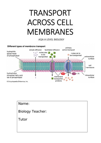 A-Level AQA Biology - Transport Across Membranes Workbook | Teaching ...