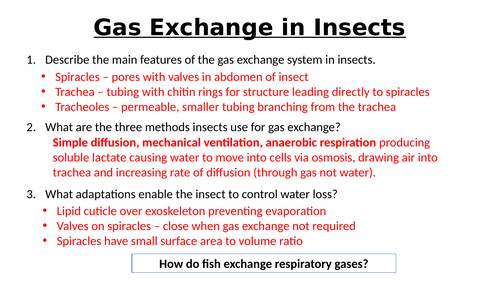 A-Level AQA Biology - Gas Exchange Fish | Teaching Resources