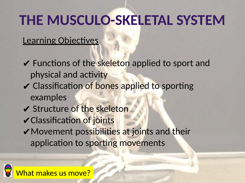 Aqa Gcse Pe Musculo Skeletal Names And Locations Of Bones Teaching