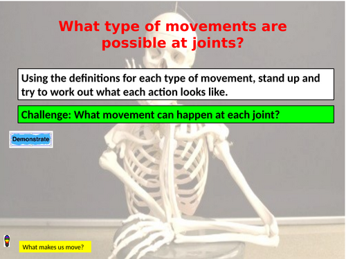 AQA GCSE PE Musculo-skeletal - types of joints and joint movements | Teaching Resources