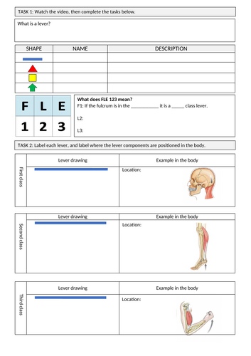 GCSE PE OCR MOVEMENT ANALYSIS WORKSHEETS | Teaching Resources