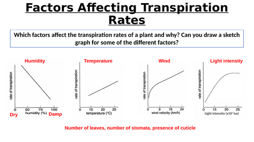 A-Level AQA Biology - Measuring Transpiration Rates | Teaching Resources