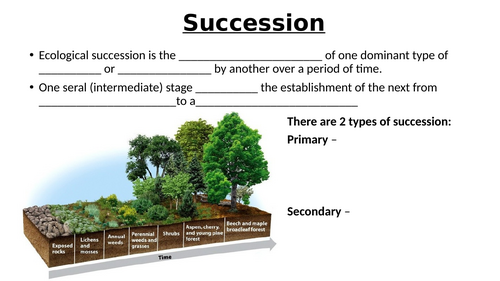 A-Level AQA Biology - Succession | Teaching Resources