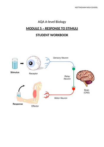 A-Level AQA Biology - Response to Stimuli Workbook | Teaching Resources