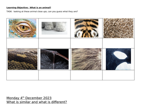 ANIMALS INCLUDING HUMANS WORKSHEETS | Teaching Resources