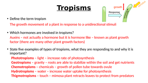 A-Level AQA Biology - Plant Growth Factors | Teaching Resources