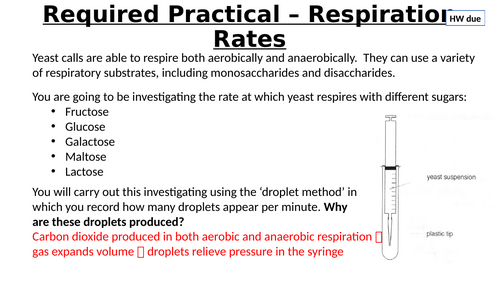 A-Level AQA Biology - Respiration Required Practical | Teaching Resources A-Level AQA Biology - Respiration Required Practical | Teaching Resources