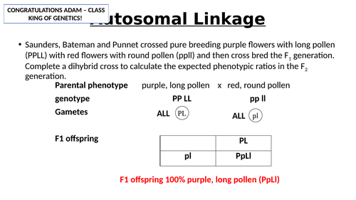 A-Level AQA Biology - Autosomal Linkage | Teaching Resources