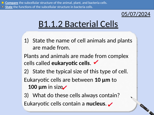 GCSE Biology: Bacterial Cells | Teaching Resources
