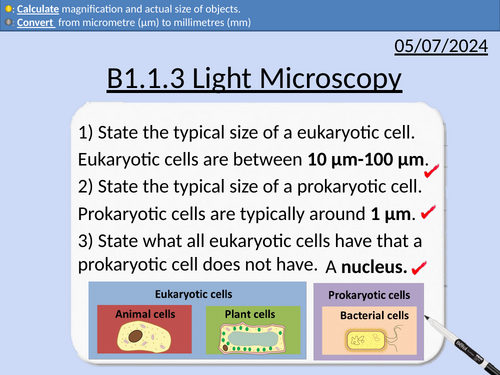 GCSE Biology: Light Microscopy | Teaching Resources