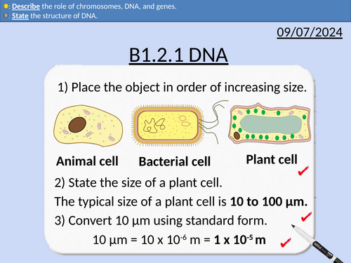 GCSE Biology: DNA | Teaching Resources