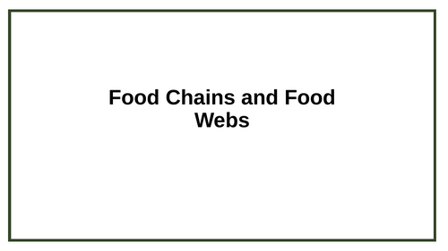 Food Chains and Food Webs KS3 | Teaching Resources