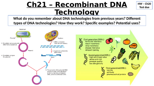 A-Level AQA Biology - Producing DNA Fragments | Teaching Resources