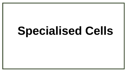 Specialised Cells KS3 | Teaching Resources