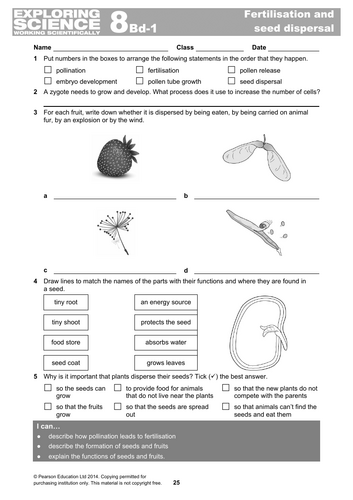 KS3 lesson on seeds and seed dispersal - Edexcel | Teaching Resources
