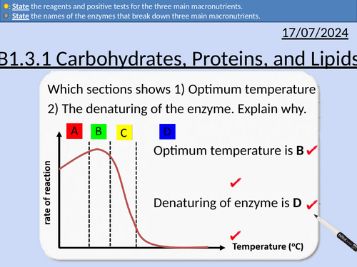 GCSE Biology: Carbohydrates, Proteins, and Lipids | Teaching Resources