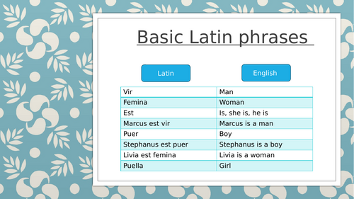 Latin Basic Phrases Booklet | Teaching Resources