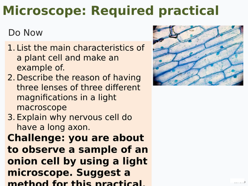 GCSE - Cell biology 5 - Microscopy RP - Observing onion cells and ...