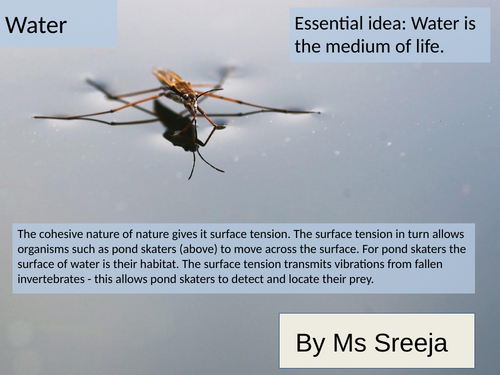 IBDP 2025 Biology | Teaching Resources