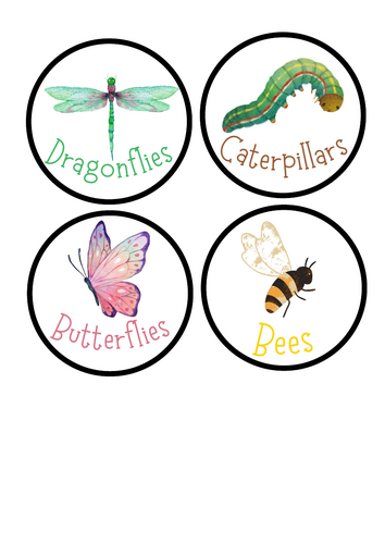 Literacy Group Names - Mini Beast Theme | Teaching Resources