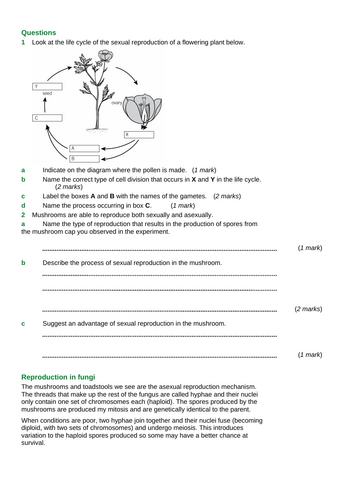 B13 Reproduction (TRIPLE lessons only) GCSE AQA | Teaching Resources