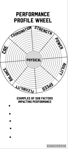 Physical Performance Profiling Wheel Worksheet | Teaching Resources