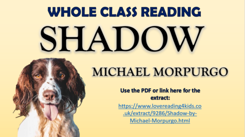 Shadow - Michael Morpurgo - Whole Class Reading Session! | Teaching ...