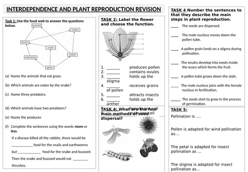 Ecosystems KS3 Activate | Teaching Resources