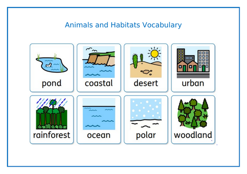 Animals and Habitats Vocabulary | Teaching Resources
