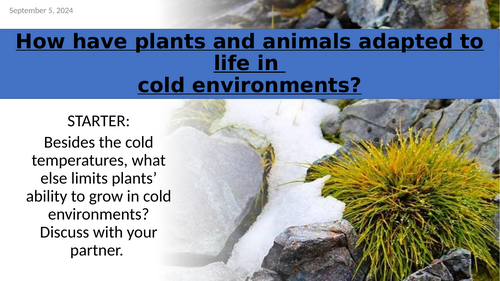 Adaptations for Survival: How Plants and Animals Thrive in Antarctica ...