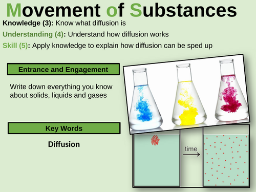 B1.4 Movement of Substances Year 7 Biology | Teaching Resources