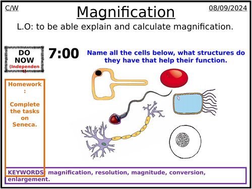Year 7 - Living systems - L3 Magnification | Teaching Resources