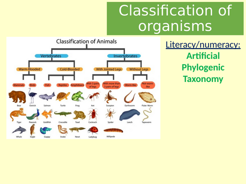 AQA. GCSE. Ecology. Classification | Teaching Resources AQA. GCSE. Ecology. Classification | Teaching Resources