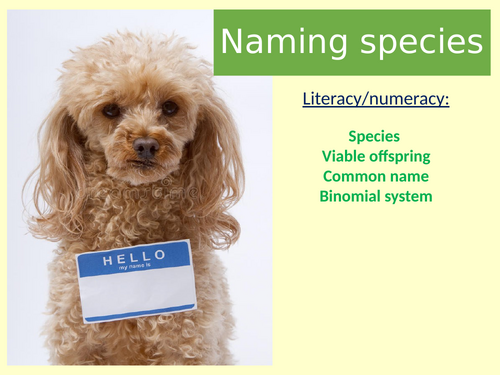 AQA. GCSE. Biology. Ecology. Naming species | Teaching Resources