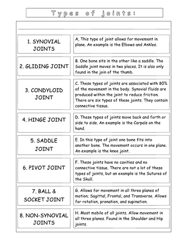 Year 7 - Living systems – L10 - Joints worksheet | Teaching Resources