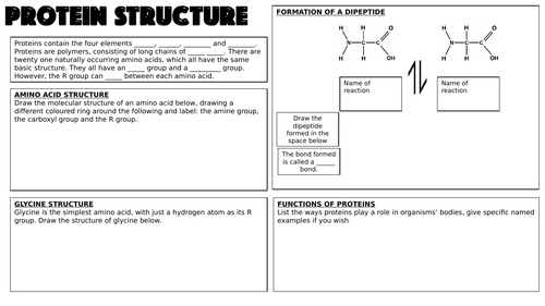 A Level Biology - Proteins Worksheet | Teaching Resources