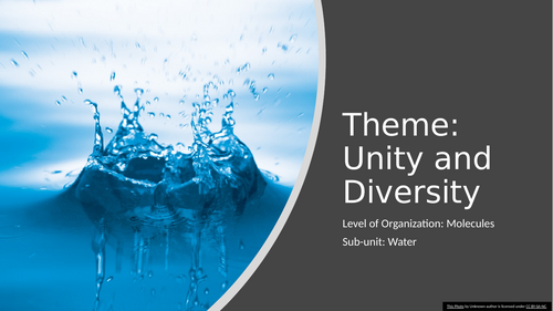 IBDP (2024) A1.1 Water PPT | Teaching Resources