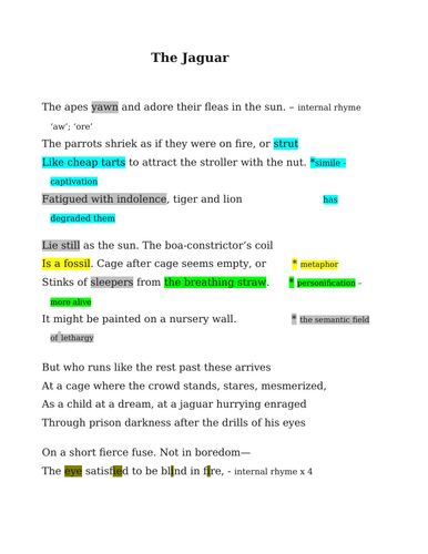 GCSE ENGLISH LITERATURE poetry anthology "The Jaguar" Ted Hughes ...
