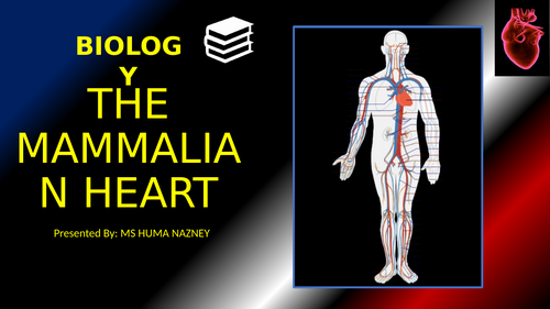 POWERPOINT HEART STRUCTURE | Teaching Resources